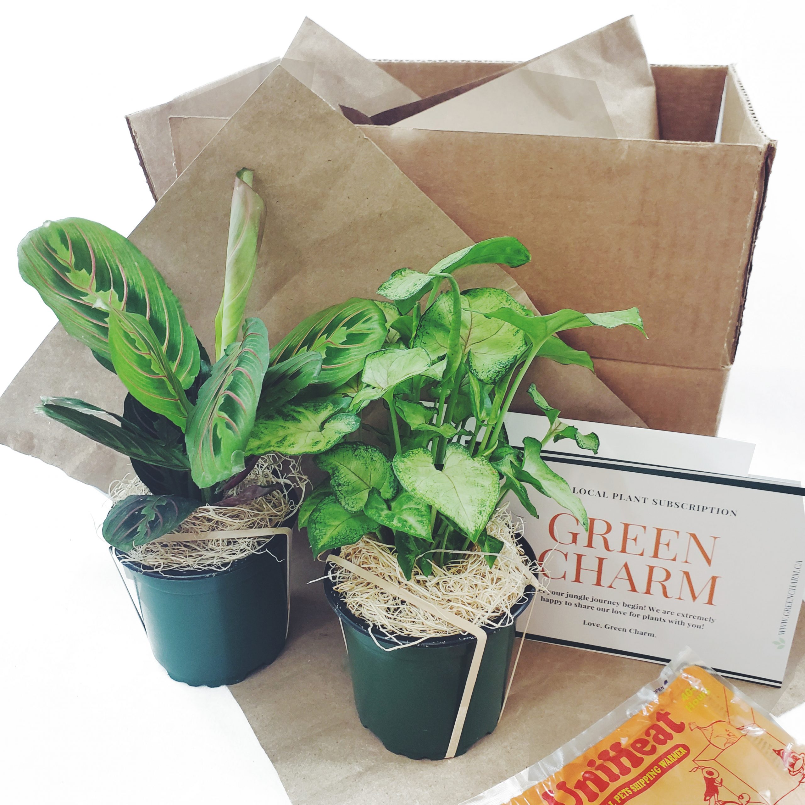 Top subscription based companies for 2022 - Subbly